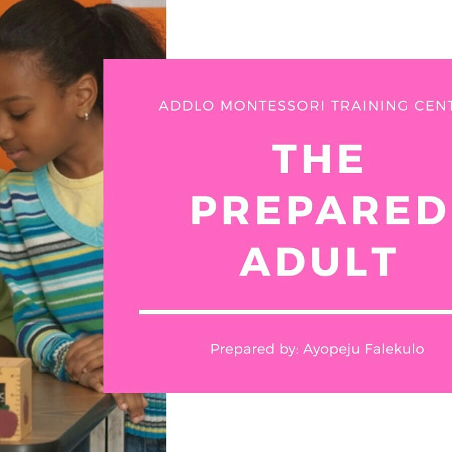 The Prepared Adult Series 3
